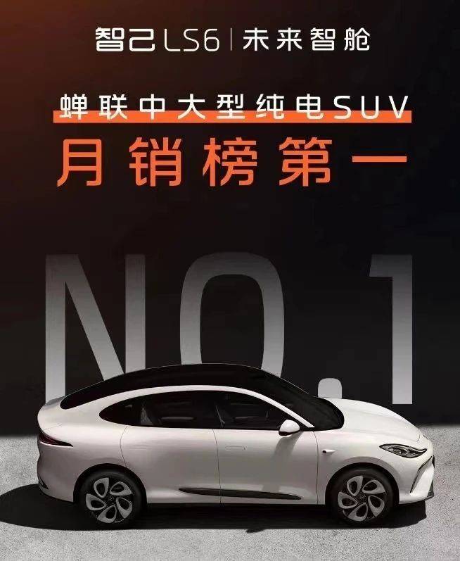 智己LS6：春节探亲访友，豪华纯电SUV的首选_搜狐汽车_搜狐网