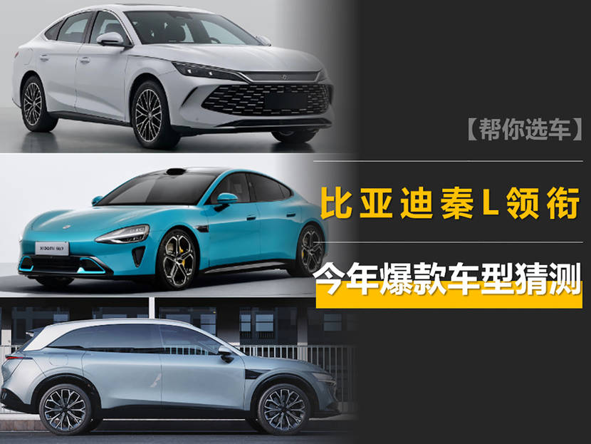 秦L、极氪CX1E、小米SU7领衔，这5款新能源车有望在今年成爆款！_搜狐汽车_搜狐网