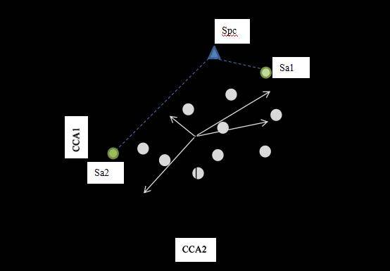 环境因子与微生物群落的关联方法之RDA/CCA分析_物种_样本_Spc