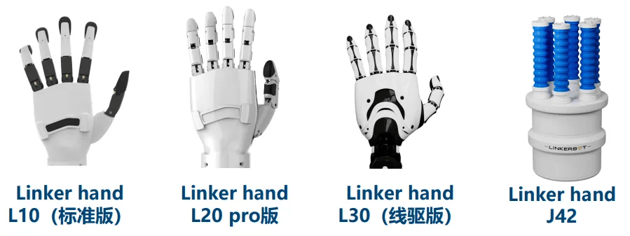 揭秘全球最高自由度灵巧手：如何以超高性价比称雄具身智能领域_产品_Hand_数据