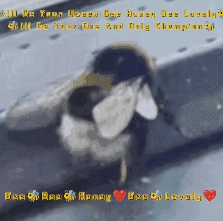 【FF14 7.0】坏了，刚开服就被HONEY BEE精炼了！_手机搜狐网