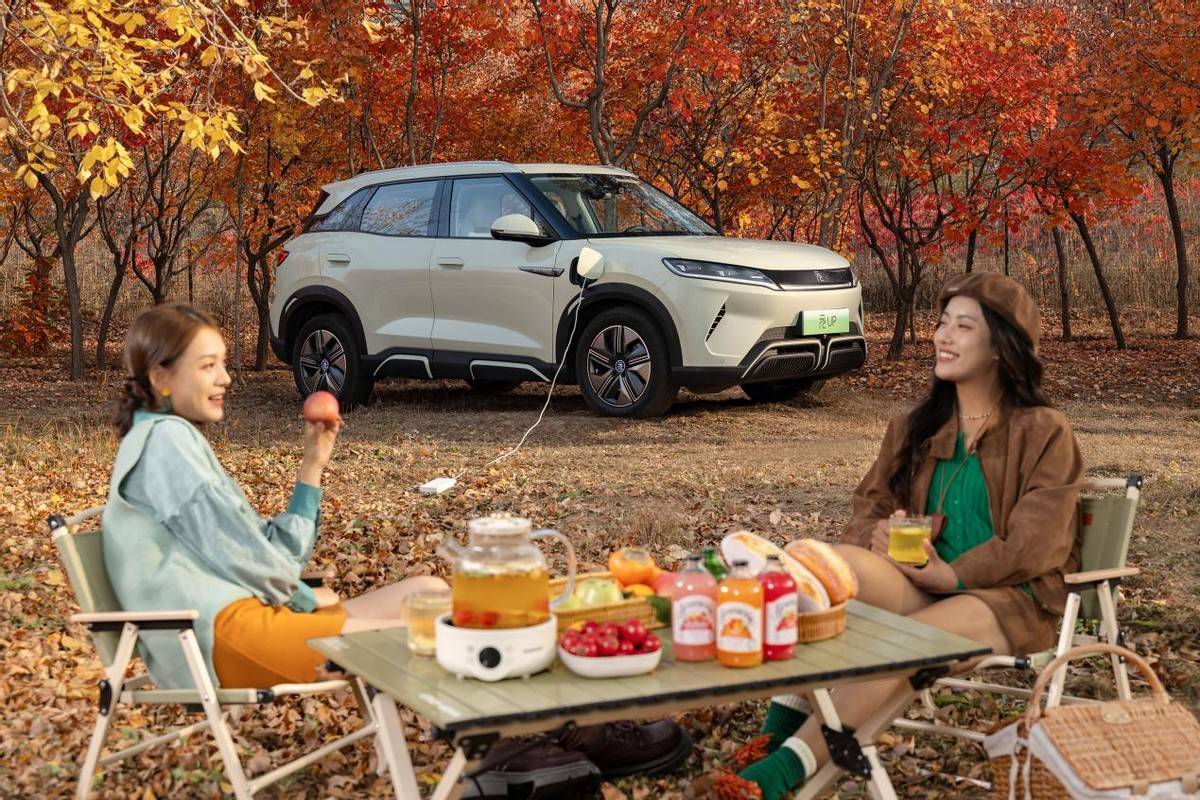 年轻人爱买哪款A0级SUV？比亚迪元UP十月热销23591辆排行第一_搜狐汽车_搜狐网