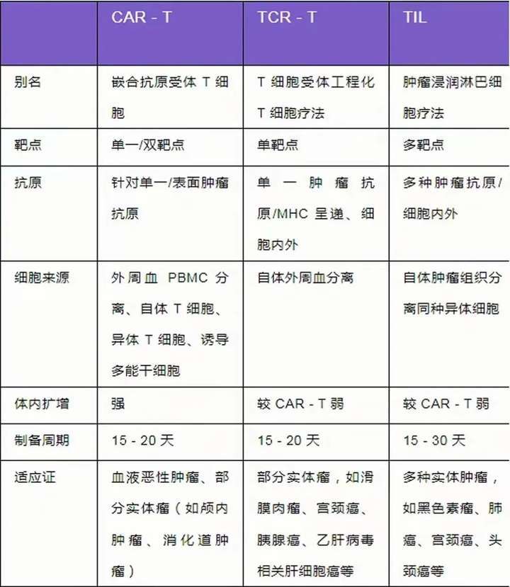一表总结细胞疗法：CAR-T、TCR-T、TIL_肿瘤_治疗_蛋白