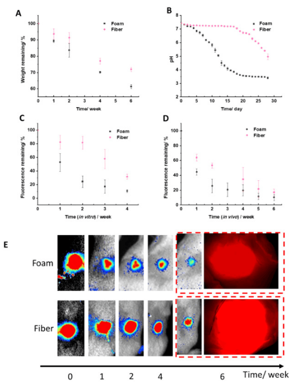 PGA Biofelt植入级无纺布聚乙醇酸 (PGA) 是一种可快速生物降解的聚合物，可用于各种植入物_支架_研究_荧光