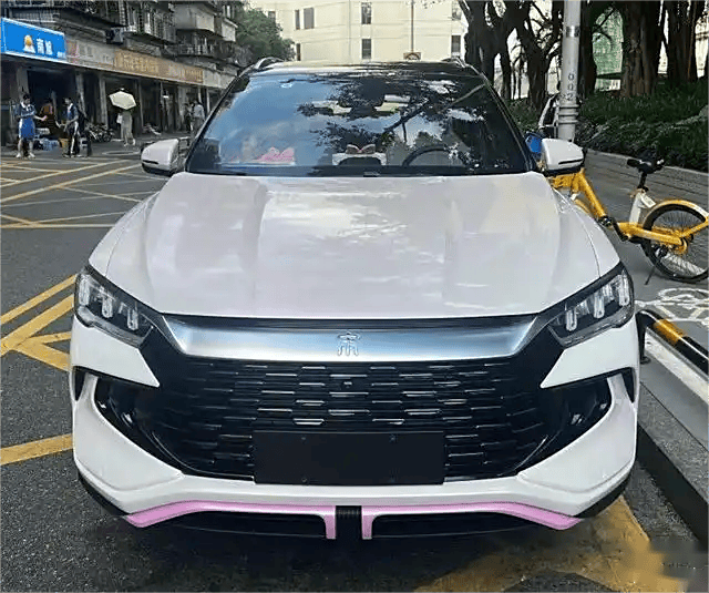 宋Pro DM-i与启源Q05：新能源市场中的智能化与网联化趋势_搜狐汽车_搜狐网