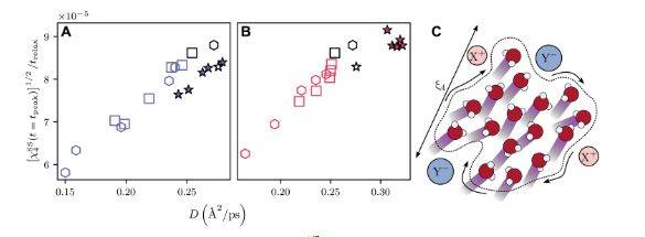 DPMD/AIMD计算！“水”出一篇Science子刊！_研究_模型_Tae