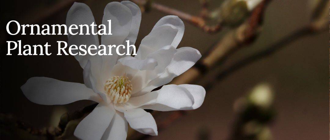 OPR 综述 | 多组学背景下园艺植物群体遗传学研究进展_育种_Plant_团队