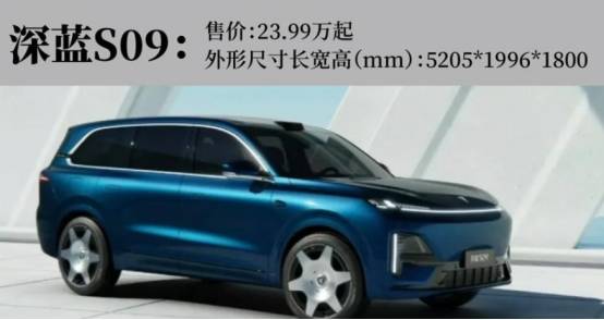 深蓝S09 vs 理想L8：谁才是85后家庭的真香大六座？看完再下单_搜狐汽车_搜狐网