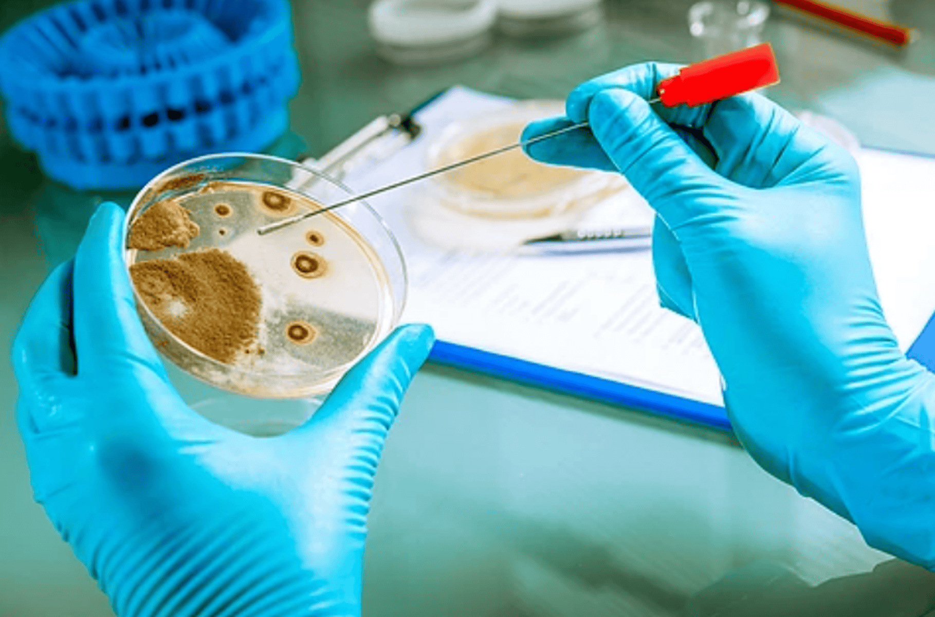 羟基-聚乙二醇-羟基，HO-PEG-OH