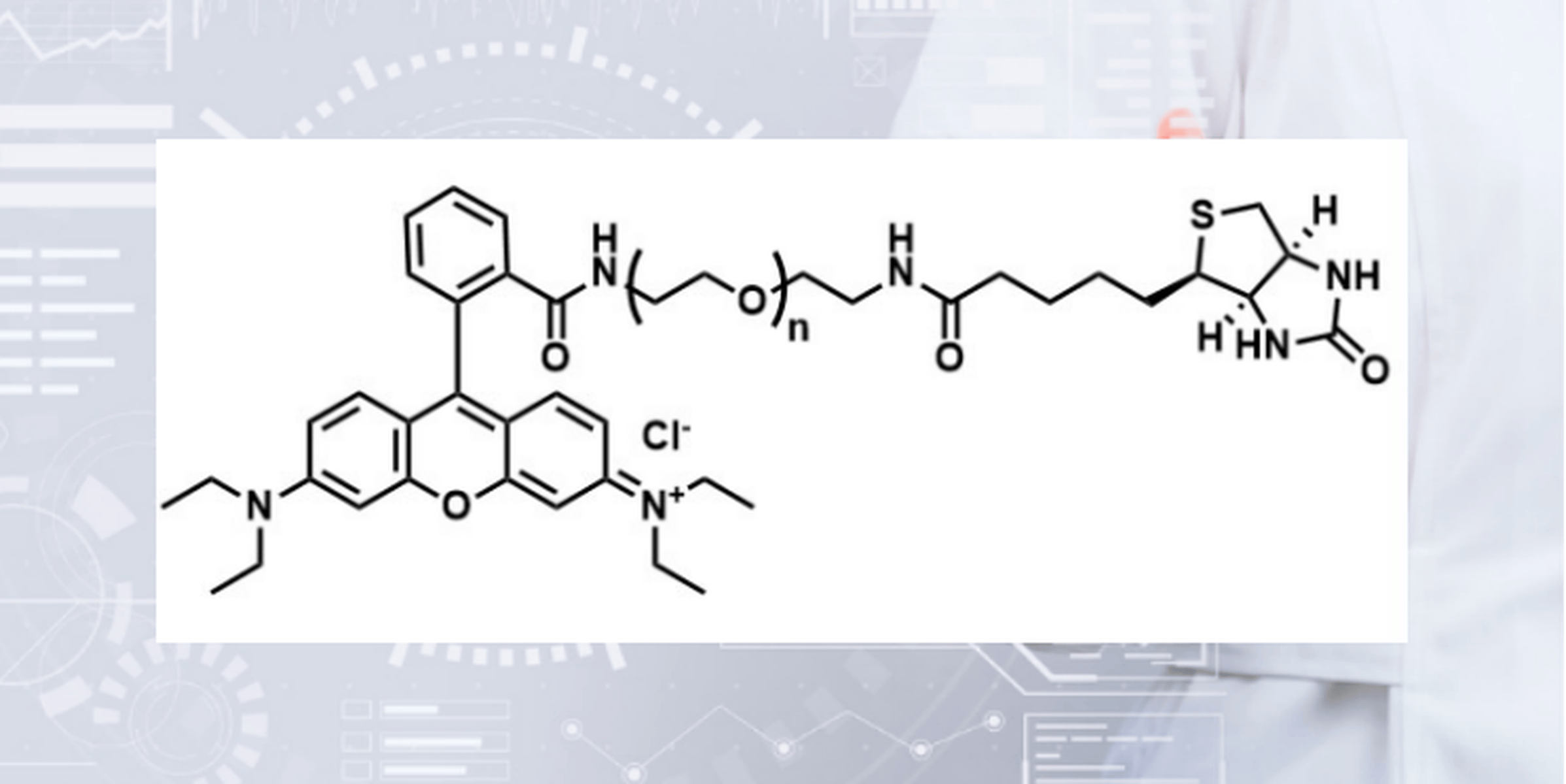 Rhodamine-PEG-Biotin，罗丹明BPEG生物素是一种高度定制化的生物连接分子