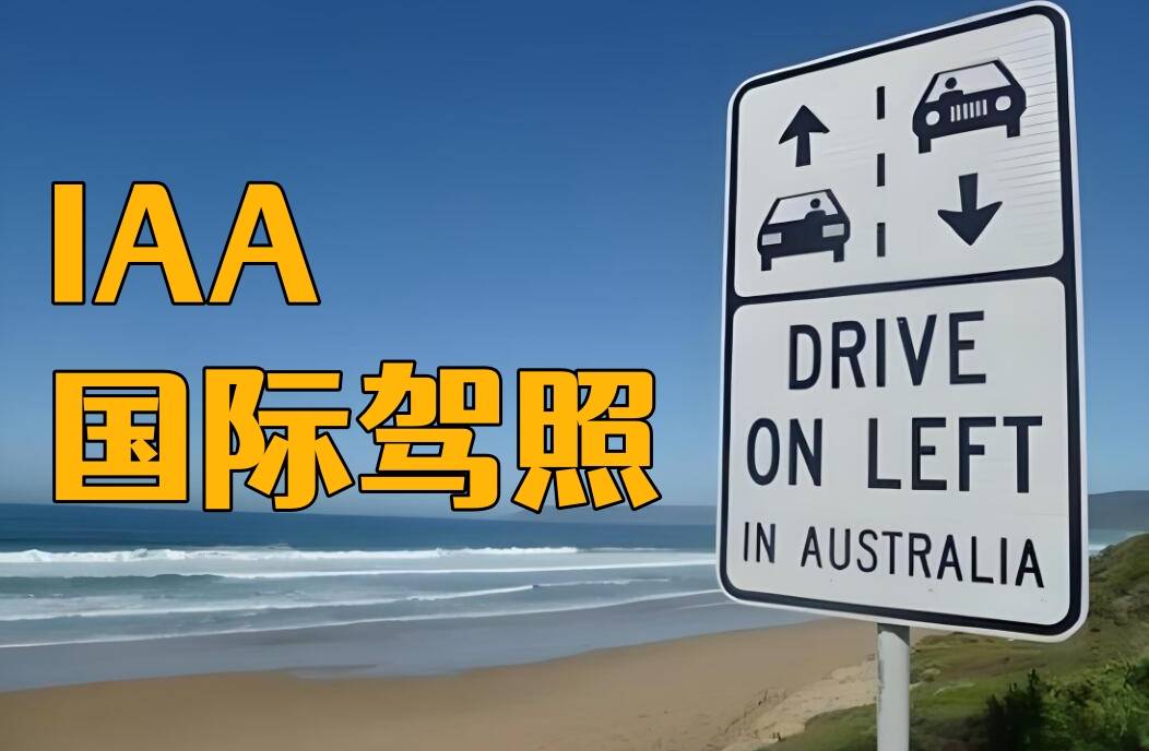 IAA国际驾照申请步骤梳理,顺利通关_搜狐汽车_搜狐网