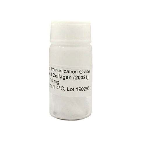 Chondrex：关节炎造模注意事项_搜狐网