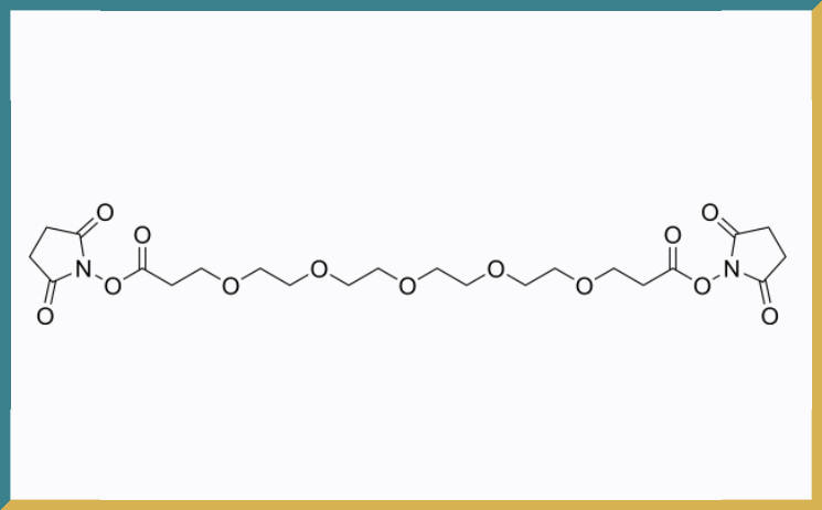 Bis-PEG5-NHS ester 可用于合成一系列 PROTAC 分子。