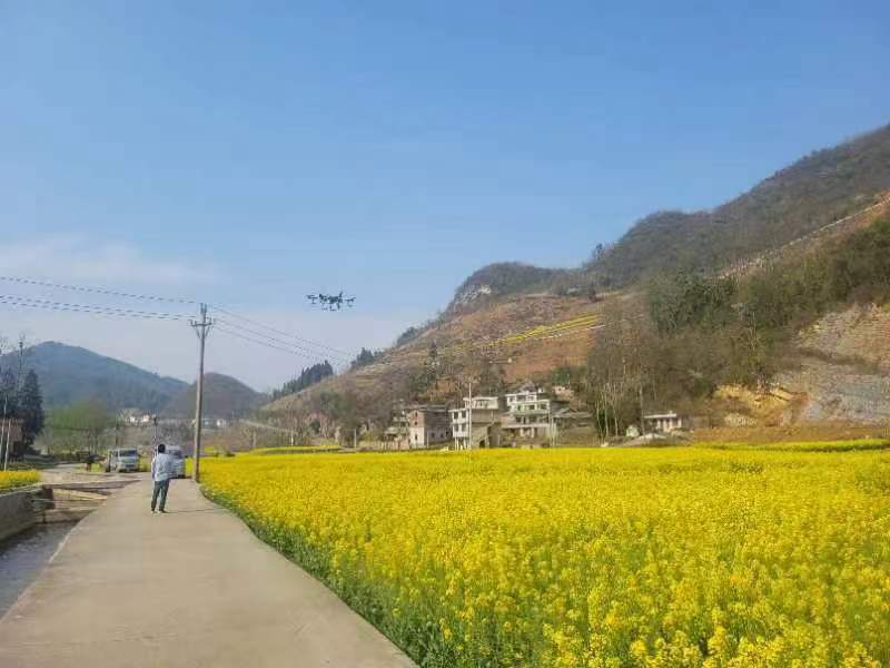 修文县六屯镇: 飞防”植保助力油菜稳产增收无人机种植进行