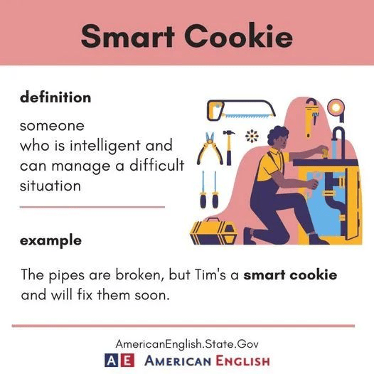 【双语】俗语：Smart Cookie 聪明的人_and_are_who
