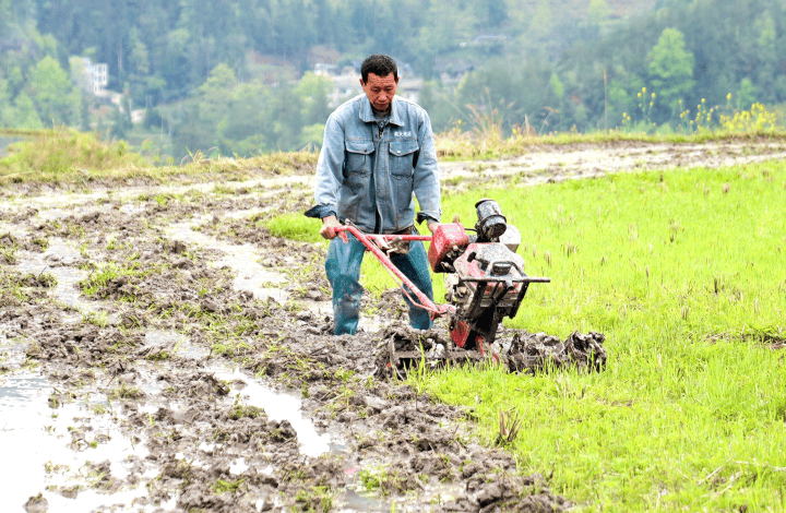 Picturesque spring ploughing scenery in terraced fields_the_and_Duan