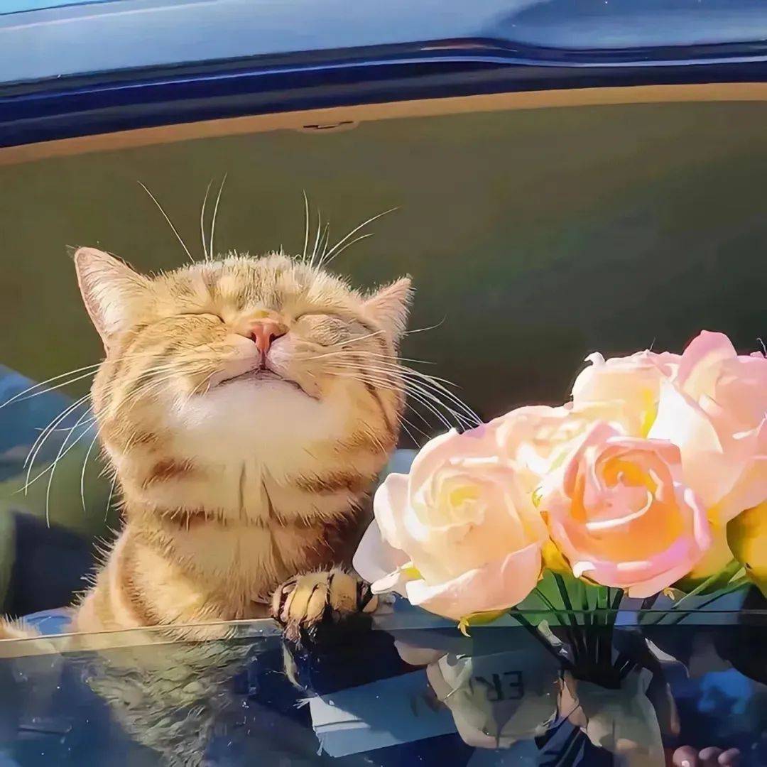 背景图 | 分享一组背景图_灵魂_well_all