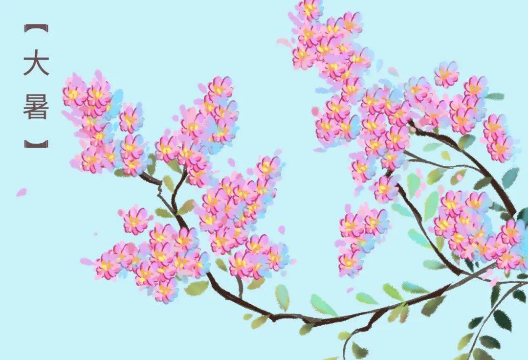 大暑 炎炎暑天,遥祝夏安生活运动节气