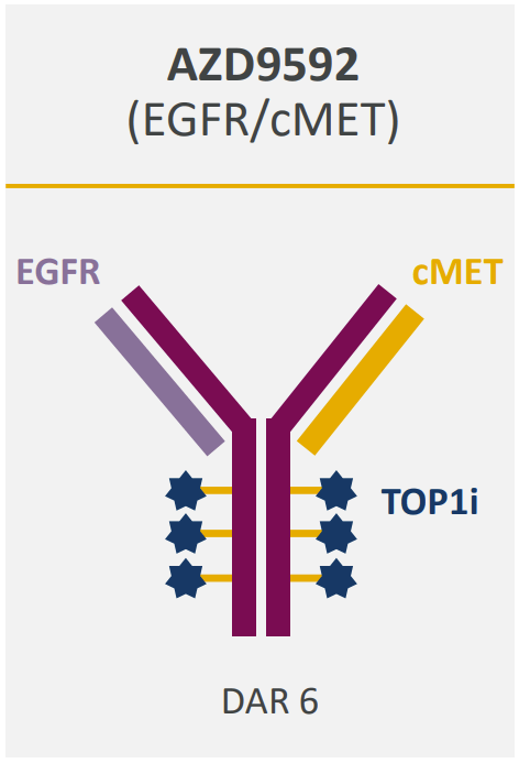 阿斯利康的双抗ADC药物在华申请临床获受理（附双抗ADC汇总）_治疗_研究_肿瘤