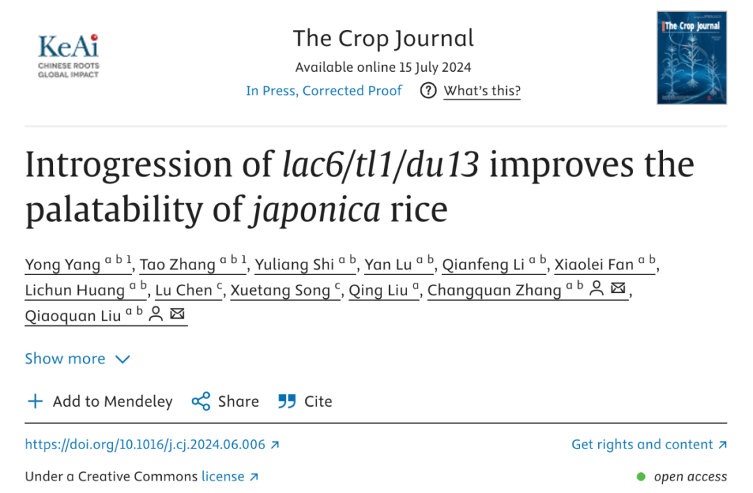 The Crop Journal | 扬州大学农学院通过导入lac6基因提高粳稻的食味品质_稻米_水稻_调控