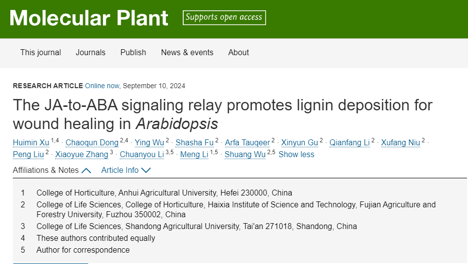 Mol Plant |安徽农业大学、福建农林大学等团队合作揭示JA-ABA信号在木质素介导植物伤口愈合中的新机制_研究_损伤