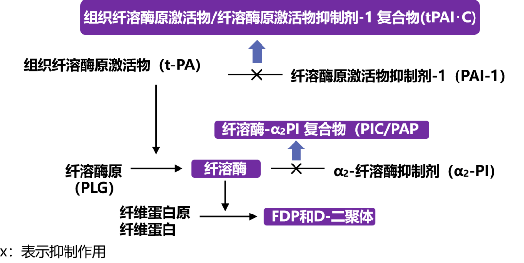 血栓四项（TAT、PIC、t-PAIC、TM）的临床意义解读_诊断_凝血酶_系统