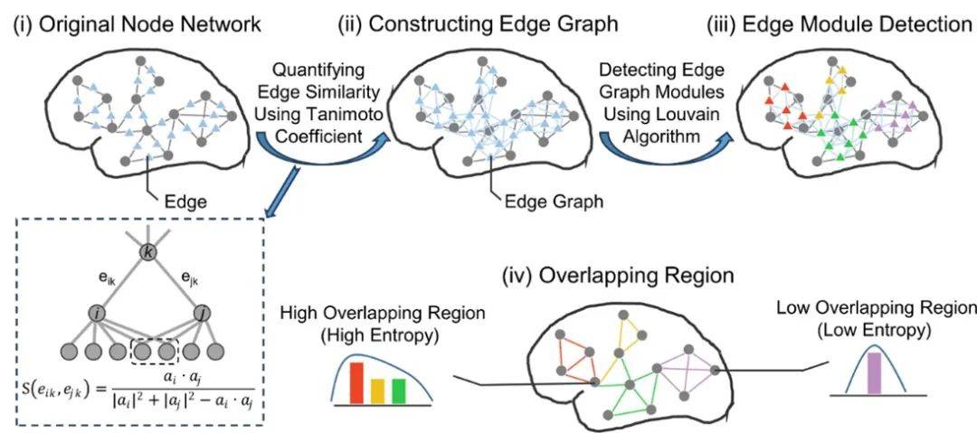 北京师范大学· 贺永、廖旭红课题组及合作者 | 儿童青少年脑功能网络重叠模块的发育规律及其结构基础_during_研究