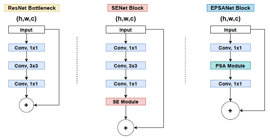 C2PSA与C3k2 | YOLO11模型涨点新神器_OpenCV_检测_模块