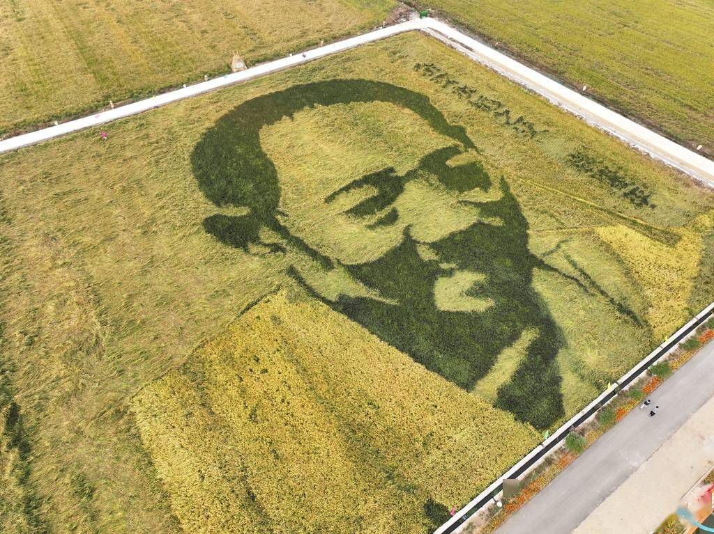 山东临沂：袁隆平稻田画秋意浓 水稻试验田丰收在望_视觉_图片_来源