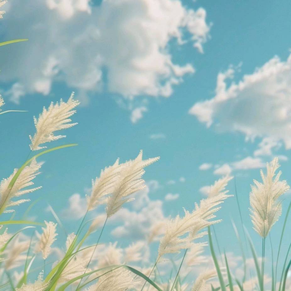 SHE聚餐，Selina一头短发生完孩子老得好快，看着比Hebe大10岁_Ella_状态_儿子