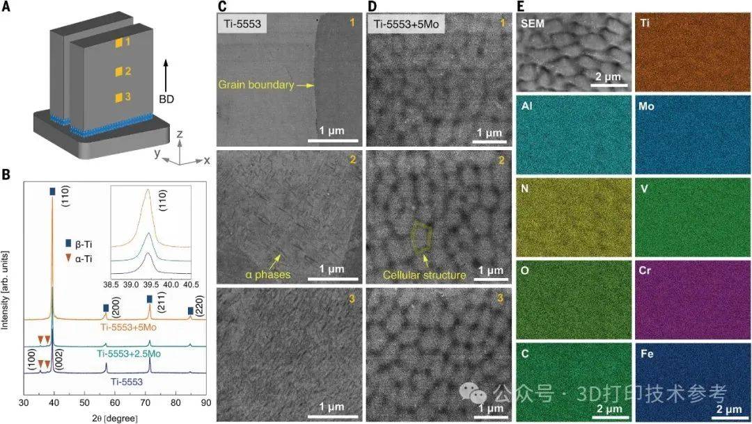 3D打印新突破：通过双功能合金设计实现超均匀、高强度且具有延展性的3D打印钛合金_晶粒_研究_结构