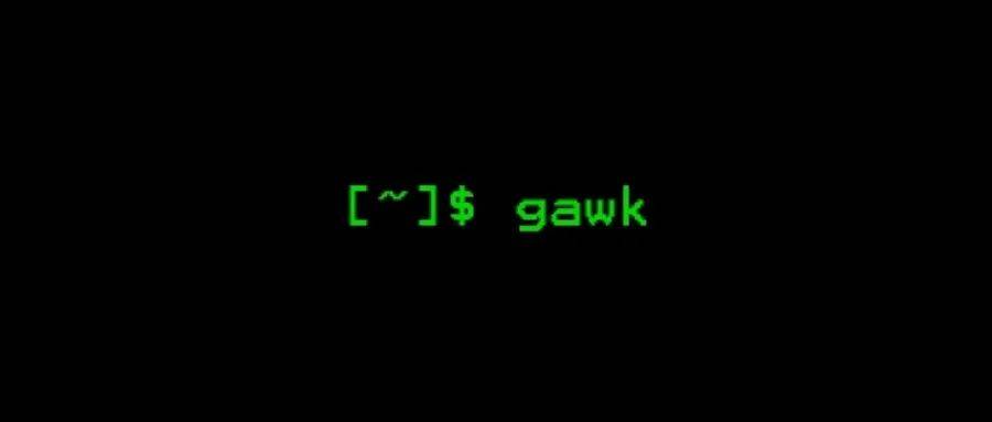 搞定文本处理！AWK(gawk)基础教程，快速上手文本三剑客之一！_文本文件_程序_数据