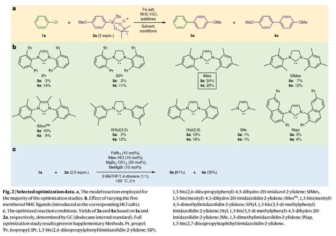 Nat. Catal.：首例铁催化芳基氯化物的Suzuki偶联反应_Fig_交叉_产物