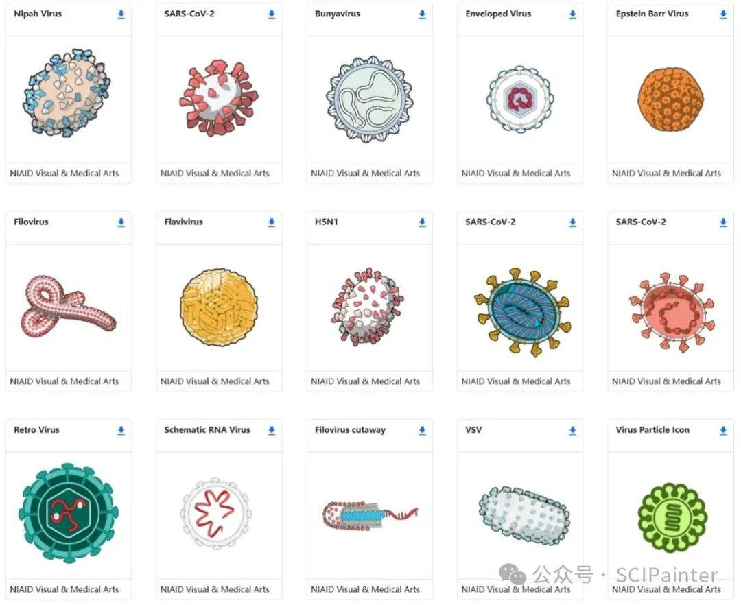 如何轻松完成论文或PPT所需的科研插图？_素材_BioArt_https