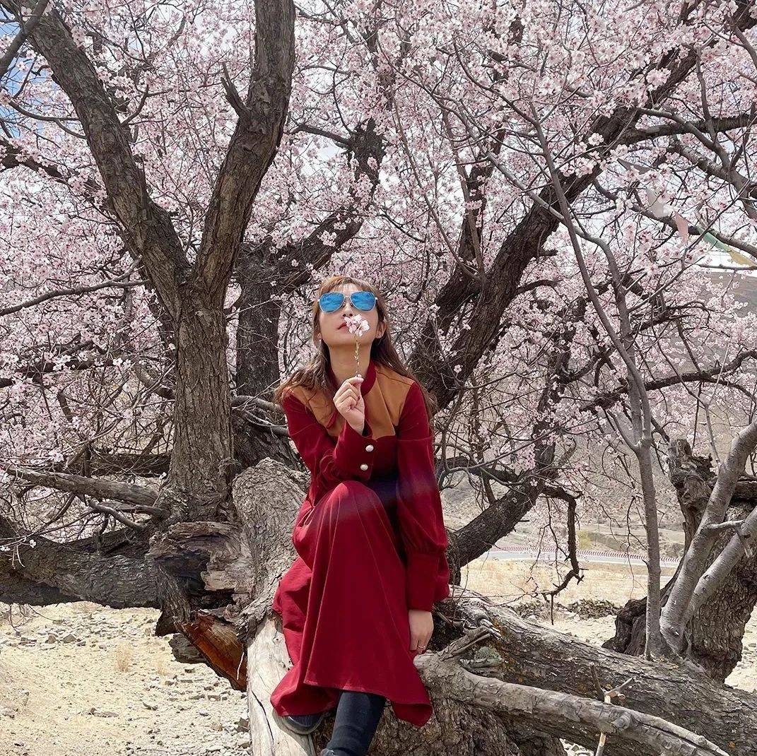 【大美川藏·林芝桃花11日】G317+G318+林芝桃花+金川梨花_成都_色达_完团