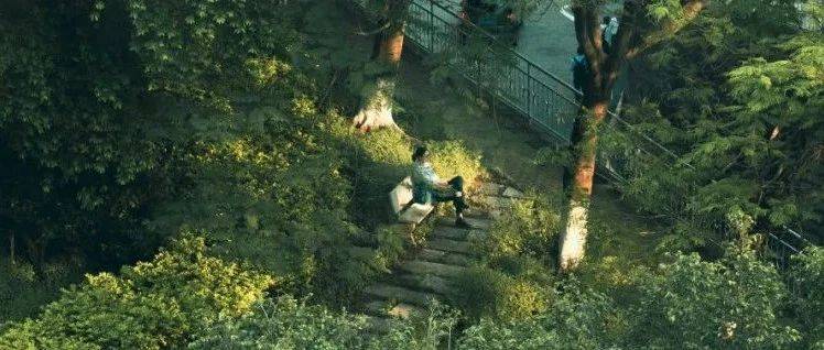 透过自然的取景框看厦大_光影_画卷_树影