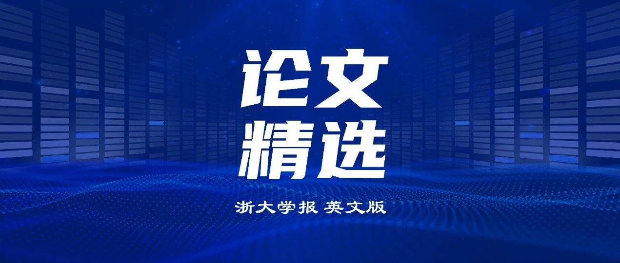 浙大Ali MATIN NAZAR等：风能革命：探索摩擦电和压电纳米发电机在可持续电力生成中的应用_文章