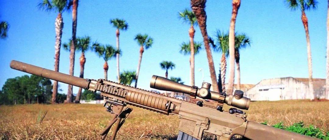 详解美国XM110 SASS狙击系统......_步枪弹_导轨_公司