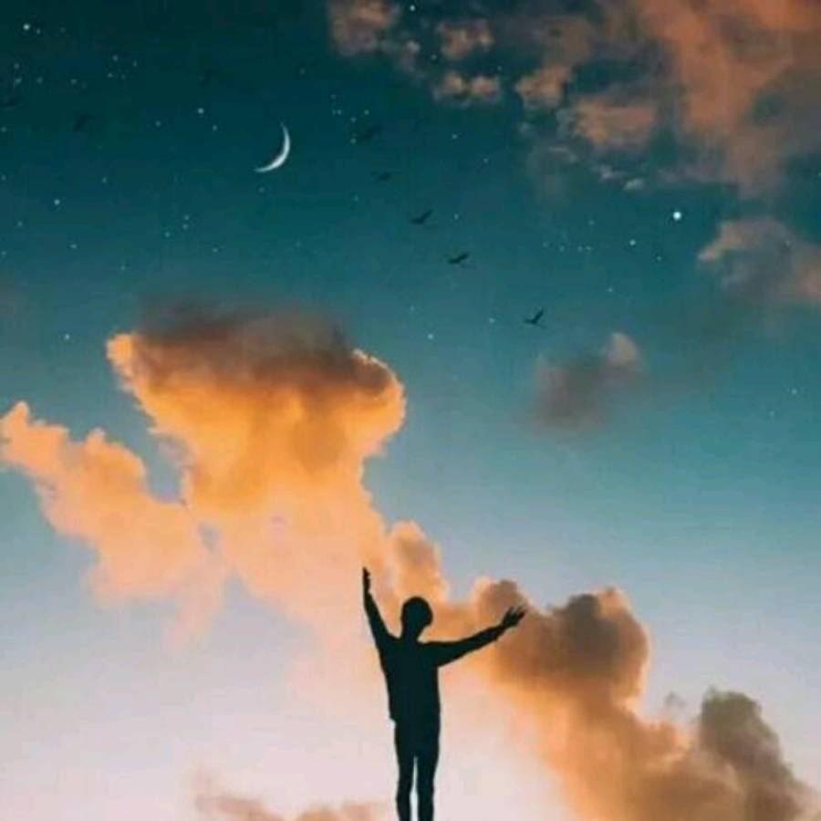 UCLA Miniscope V4 微型荧光显微镜（单色/双色）快速入门指南：钙成像、光遗传_Bonsai_Type_插头