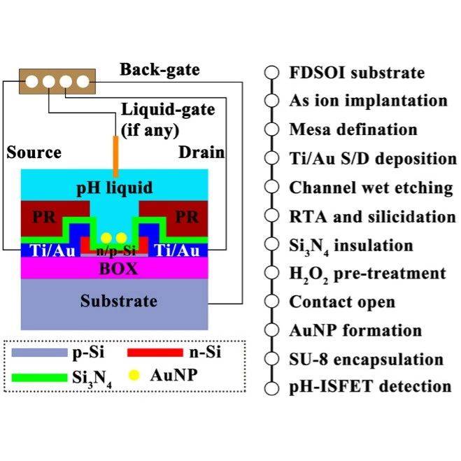 复旦大学联合南京邮电大学研发新型ISFET，提升pH传感器灵敏度_p-Si_研究_测量