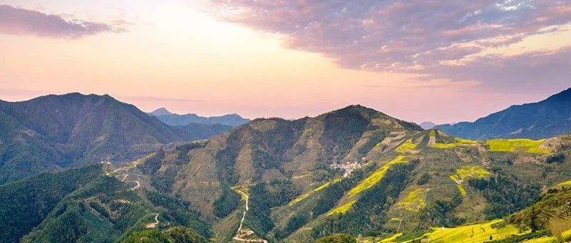 有逃必追 一追到底——写在“天网行动”启动十周年之际_工作_习近平_国际