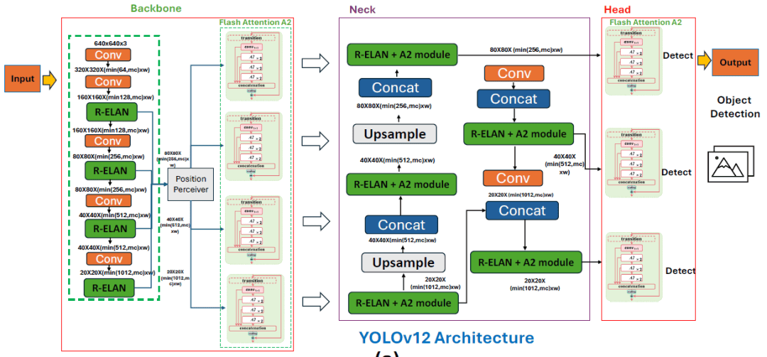 YOLO12系列模型解读与架构分析_推理_检测_训练