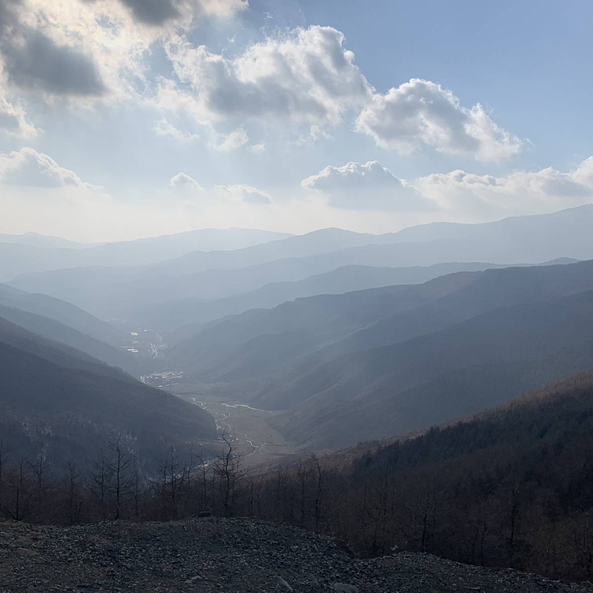 四川全运94-70河南3喜1忧！景菡一+双塔效率佳，孙铭徽蓄力淘汰赛_进攻_比赛_压力