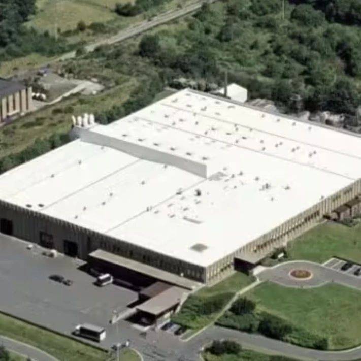 Solus Advanced Materials 拟出售 OLED 材料部门，专注新能源汽车电池箔业务_分析_显示器_尺寸