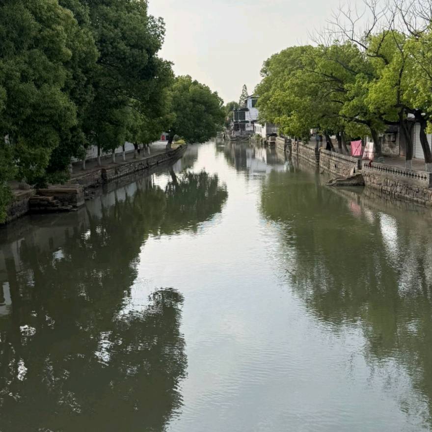 2025港硕留学IANG签全攻略：首申、续签及疑难解析！_香港_签证_优才