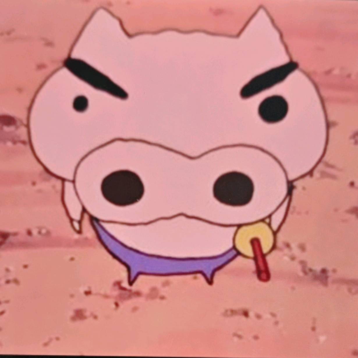 历史竟开了个玩笑：先倒下的不是乌克兰，而是百年中立的瑞士？_俄罗斯_经济_客户