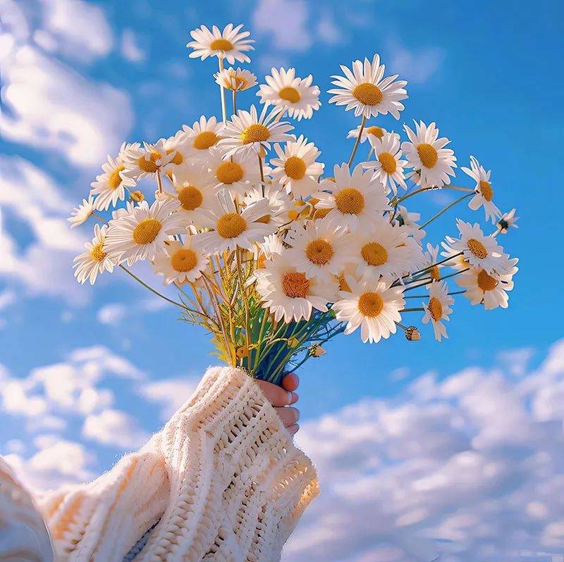 周日011 奥斯陆KFUMVS罗森博格：比分方向_比赛_进攻_防守