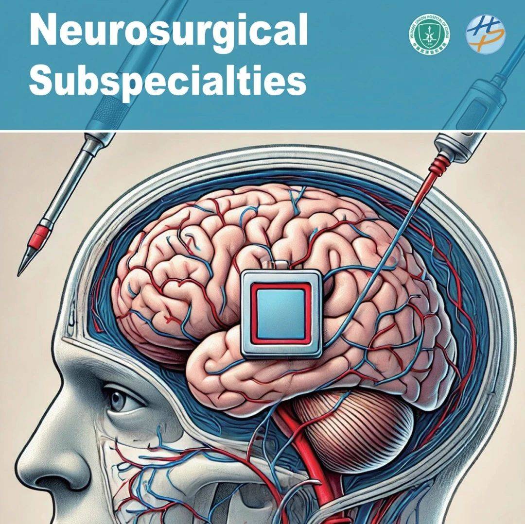 NSSS | Volume 1 Issue 2, June 2025正式出版_Xia_and_doi