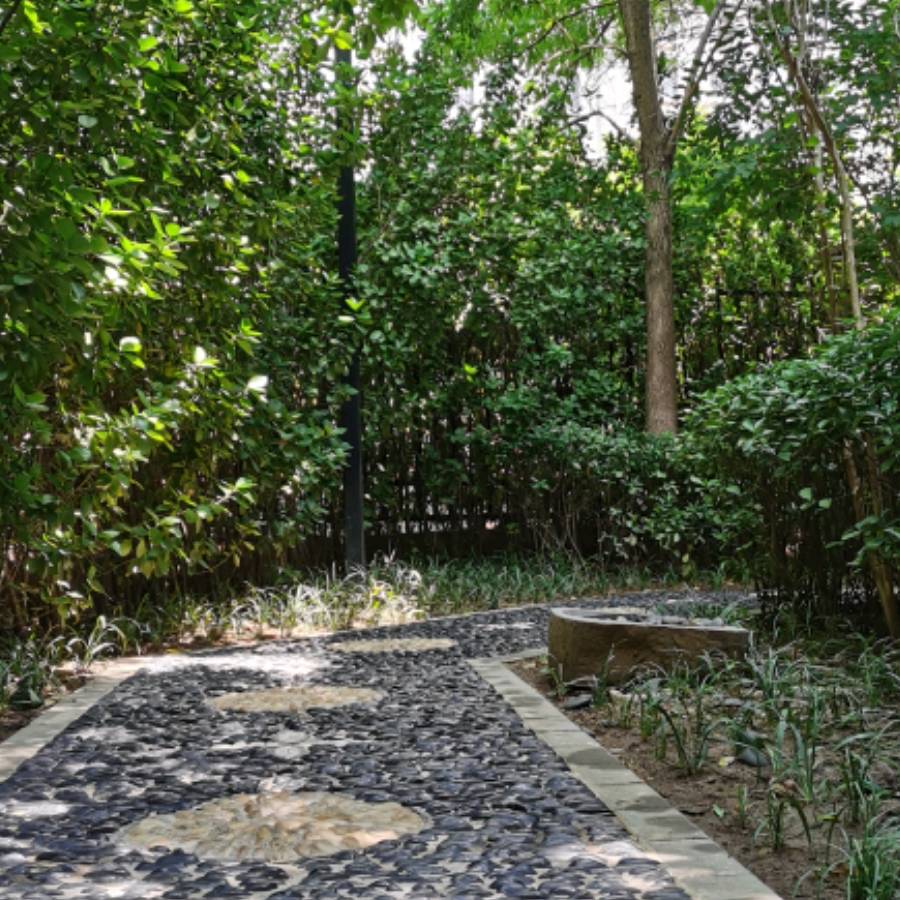 做CHIVA到底选哪里？圈定张强医生集团后又该如何选医生？_治疗_中心_技术