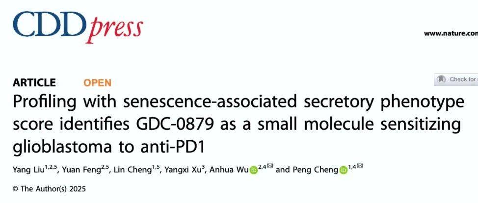 学术动态 | 盛京神外吴安华等团队在Nature子刊报道发现GDC-0879小分子药可抑制胶质母细胞瘤致瘤性并使对抗PD1增敏_进展_Feng_反应
